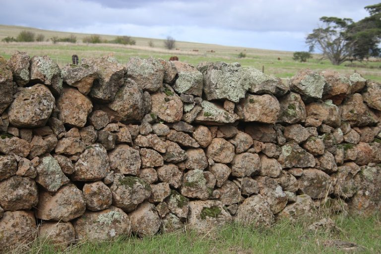 Stony rises | Trust Advocate