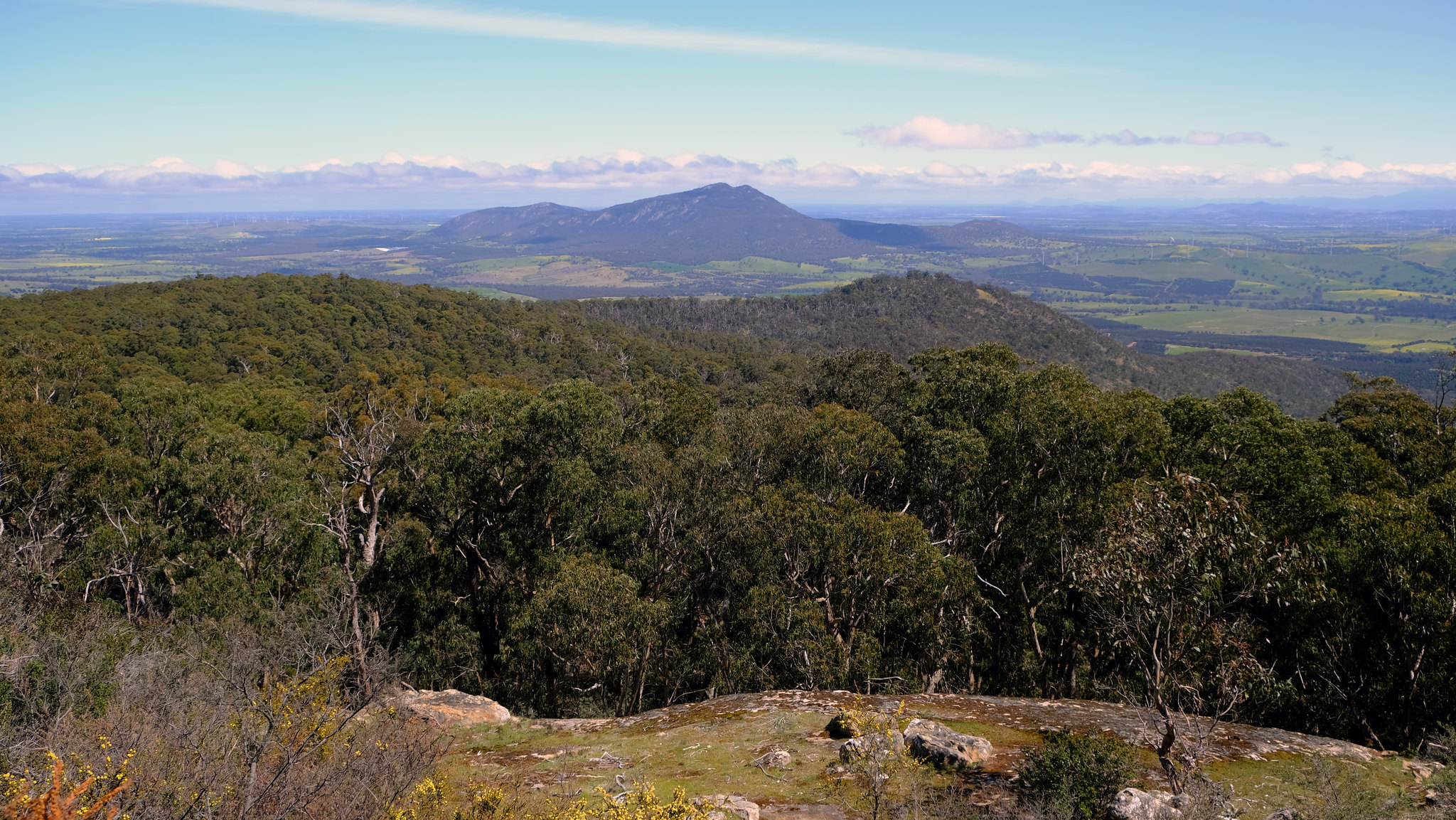 Is native forest logging really ending in Victoria? | Trust Advocate